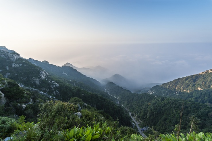 Climbing Mount Tai - The Crowded Planet
