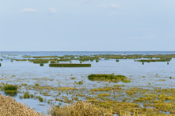 9 Things to do in Plettenberg Bay and Tsitsikamma, South Africa