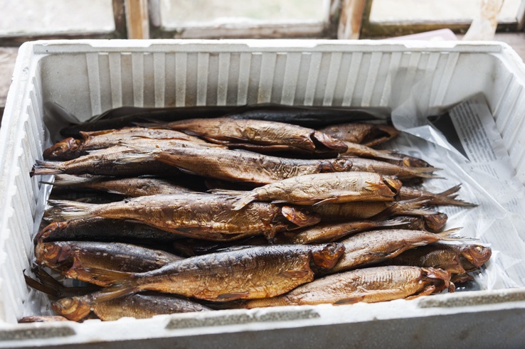 Fishermen life on Maakalla Island - The Crowded Planet
