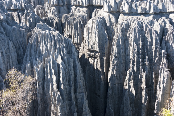 The stone forest of Tsingy de Bemaraha - The Crowded Planet