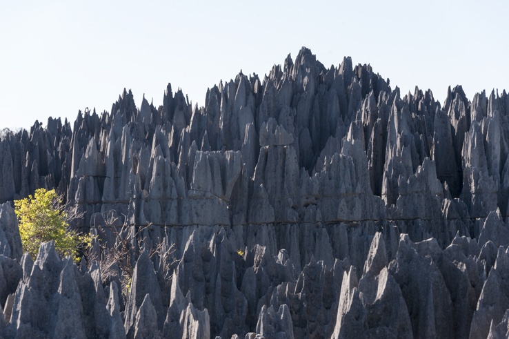 The stone forest of Tsingy de Bemaraha - The Crowded Planet