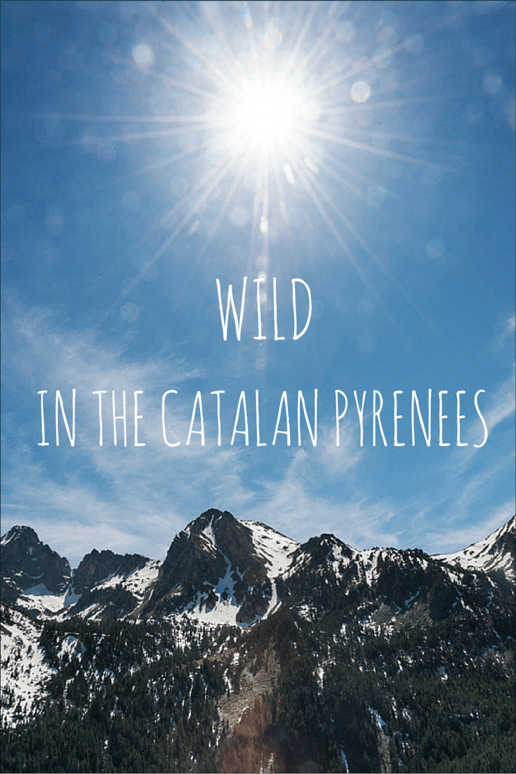 Wild in the Catalan Pyrenees - The Crowded Planet