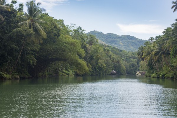 15 Eco Things to do in Bohol - The Crowded Planet