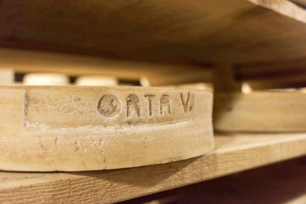 Bitto Cheese and the secrets of Valgerola