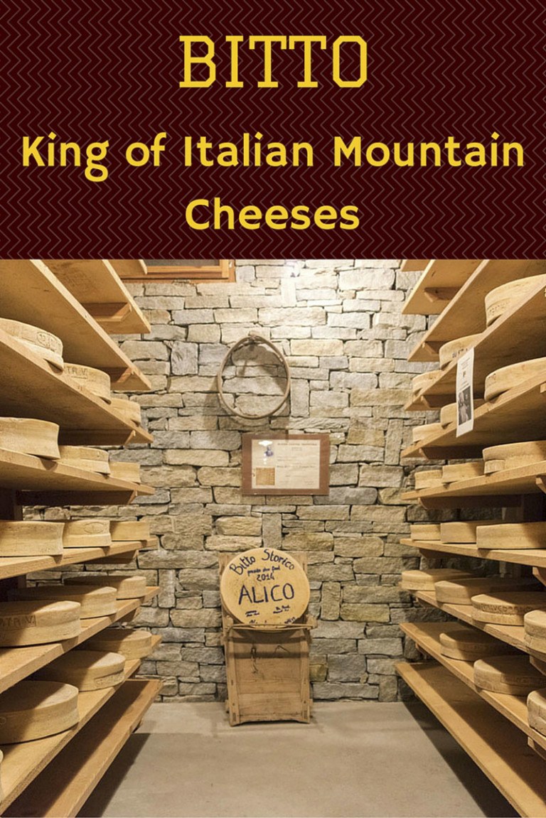 Bitto Cheese and the secrets of Valgerola