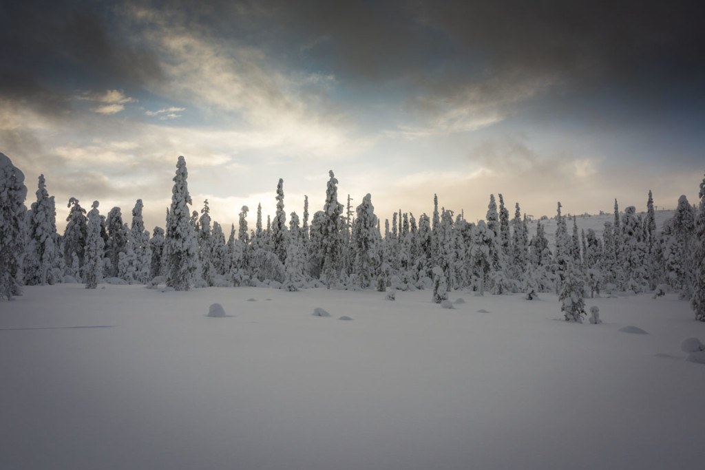 Salla Finland - Snow, Nature and Nowhereness