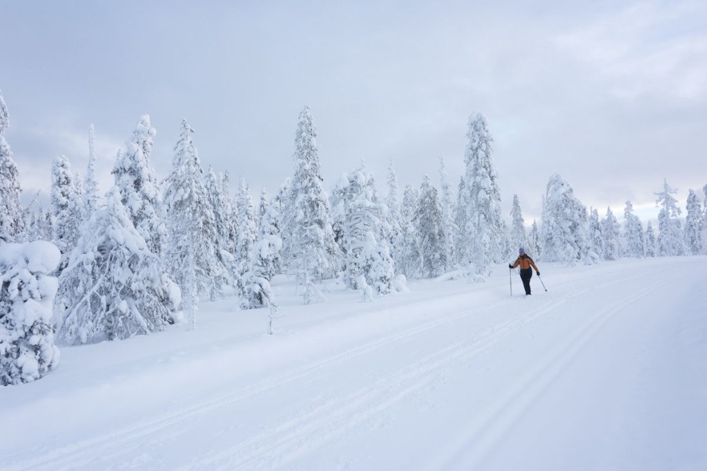 Salla Finland - Snow, Nature and Nowhereness