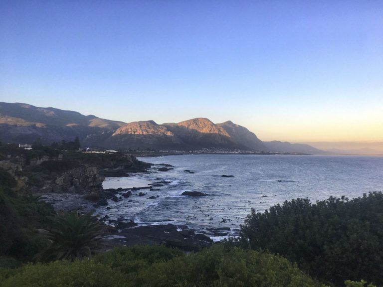 Walker Bay Xtreme Hermanus - Swim, Run, Jump!