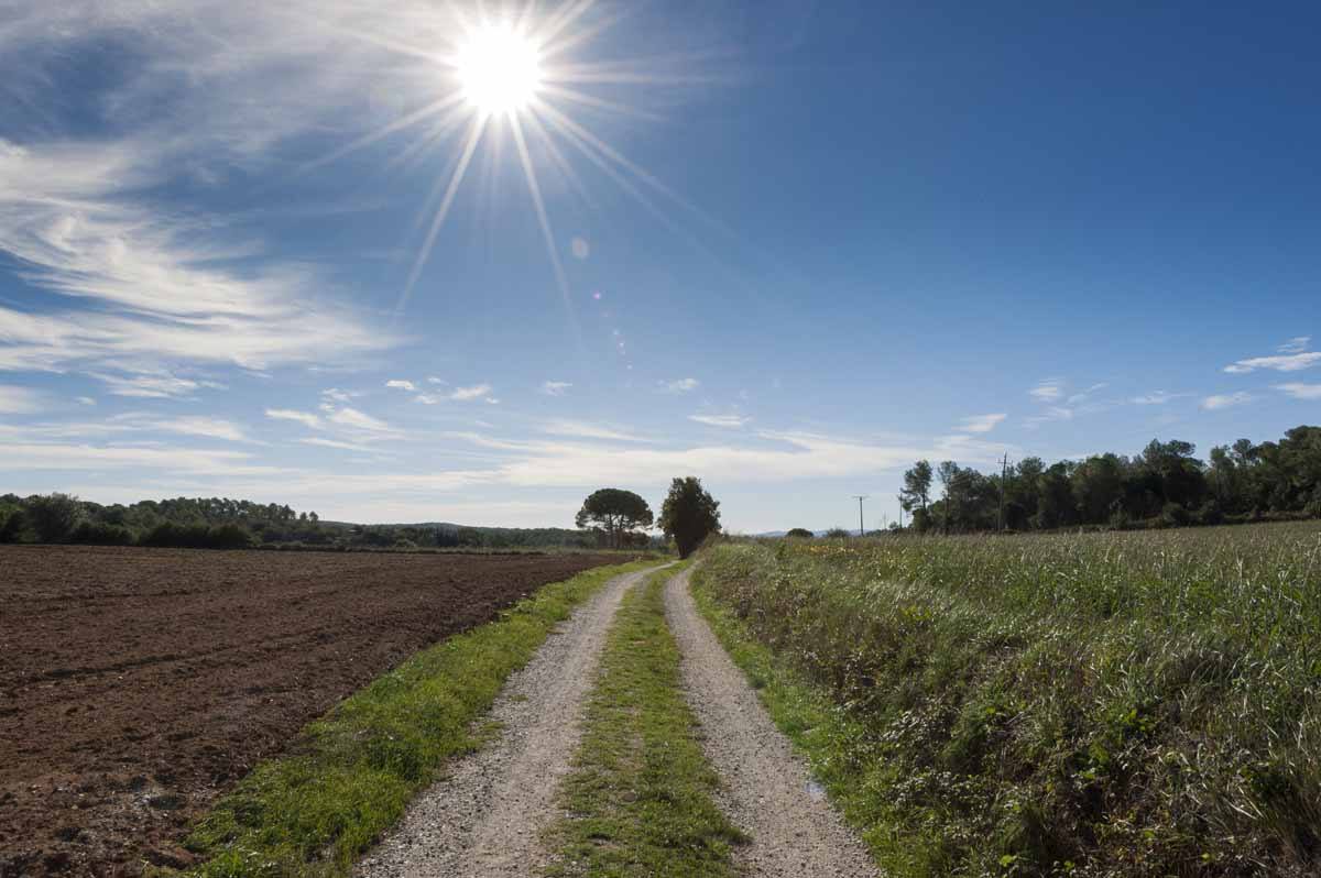 Hiking the GR1 in the Girona Province: A Trail Guide