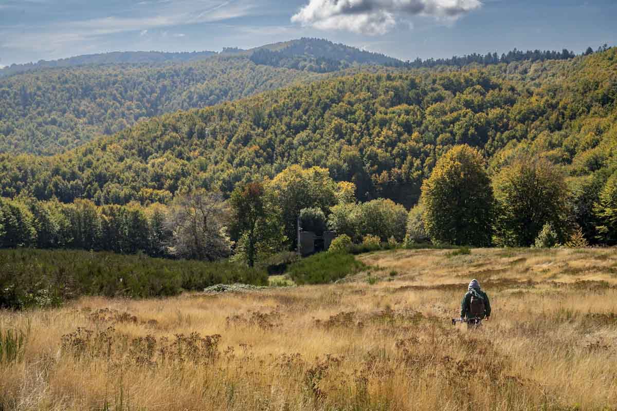 Guide to the Cammino di San Vicinio - The Crowded Planet
